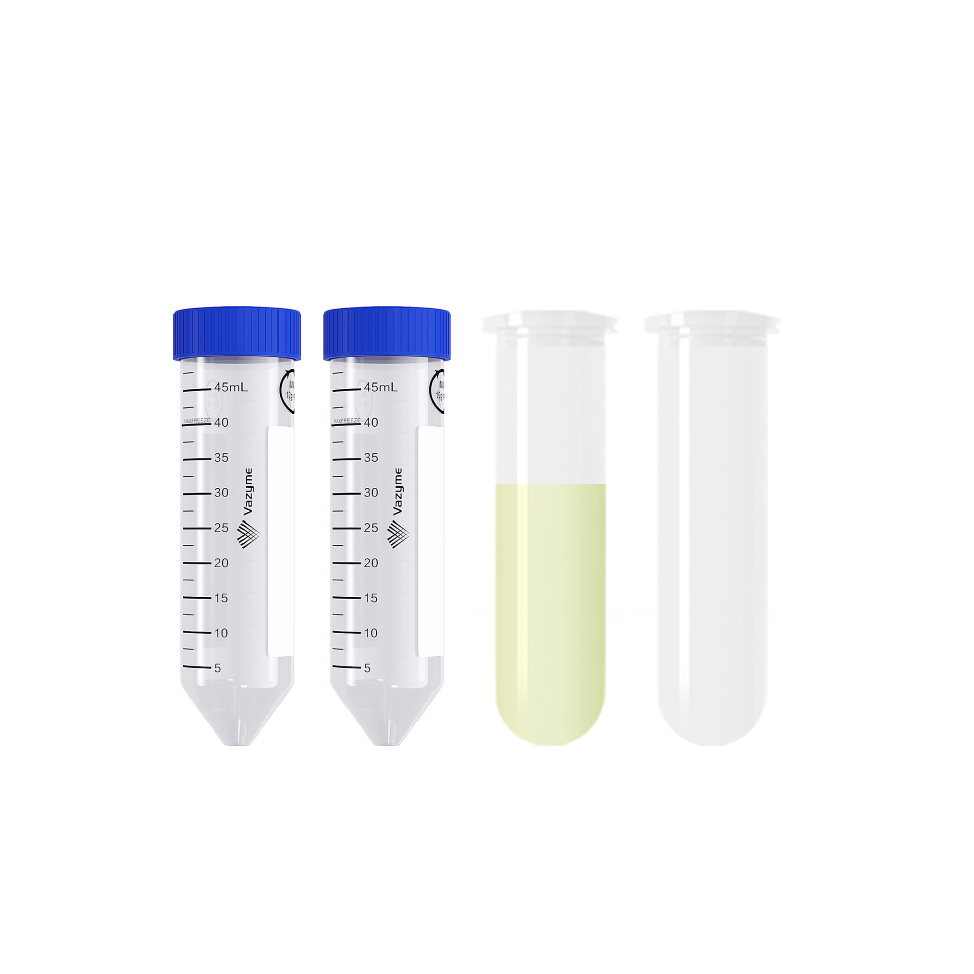 Fastpure Enhanced Endofree Plasmid Maxi (plus)kit 柱式法提取 产品中心 南京诺唯赞生物科技