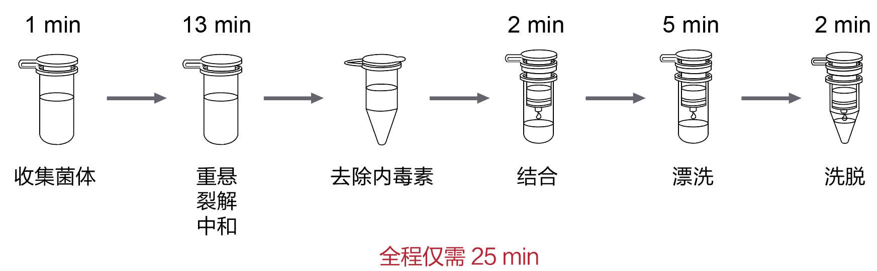 Fastpure Endofree Plasmid Mini Kit 柱式法提取 产品中心 南京诺唯赞生物科技股份有限公司