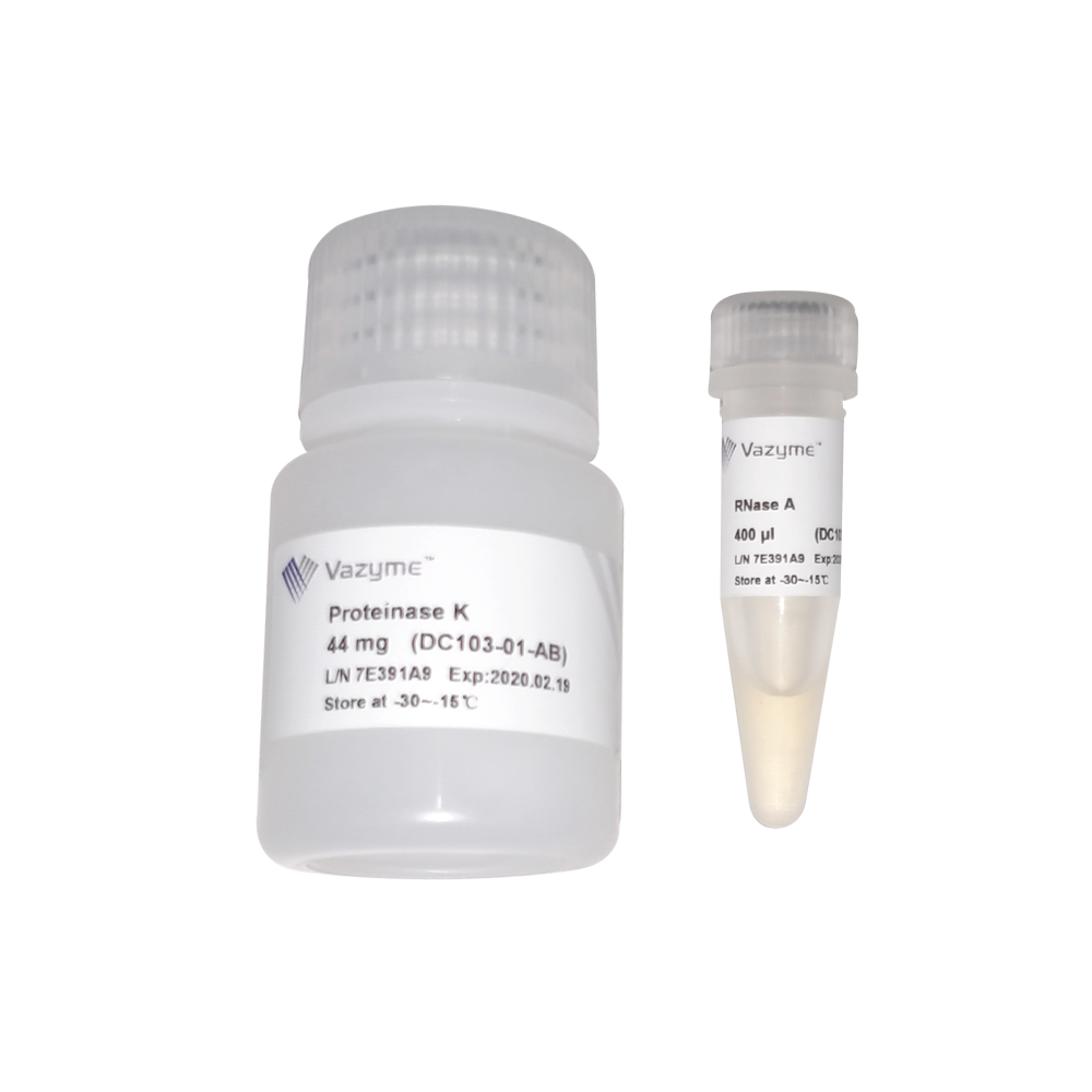 Fastpure Bacteria Dna Isolation Mini Kit 柱式法提取 产品中心 南京诺唯赞生物科技股份有限公司