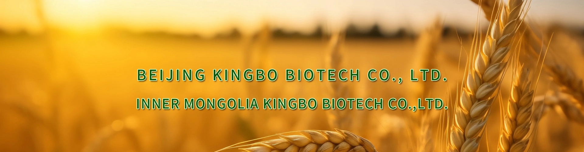 Kingbo Biotech Enterprise Culture
